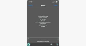 How to Borrow Money From MTN Mobile Money? (2026)