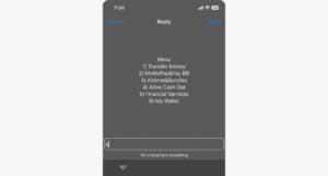 How to Request an MTN MoMo Statement? (Easy!)