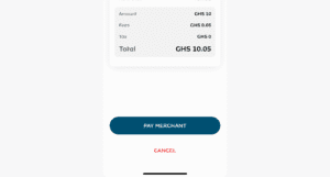 How to Use MTN MoMo Pay?